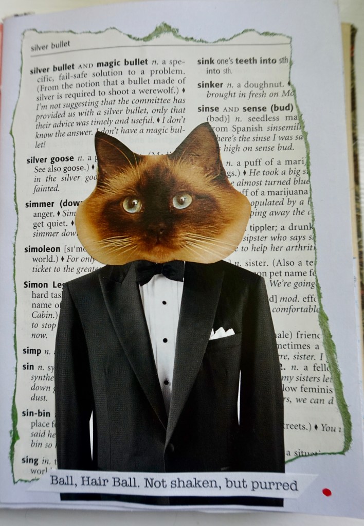 Secret Agent Cats…Mini Journal of Well Dressed Cats | Yankee Skeptic