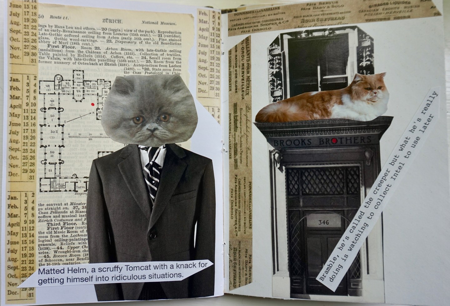 Secret Agent Cats…Mini Journal of Well Dressed Cats | Yankee Skeptic